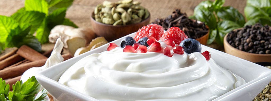 Modhani Yogurt | Treefrog Inc.