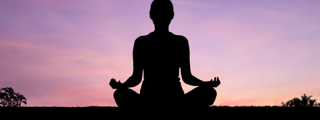 Reset Zone | Treefrog Inc.