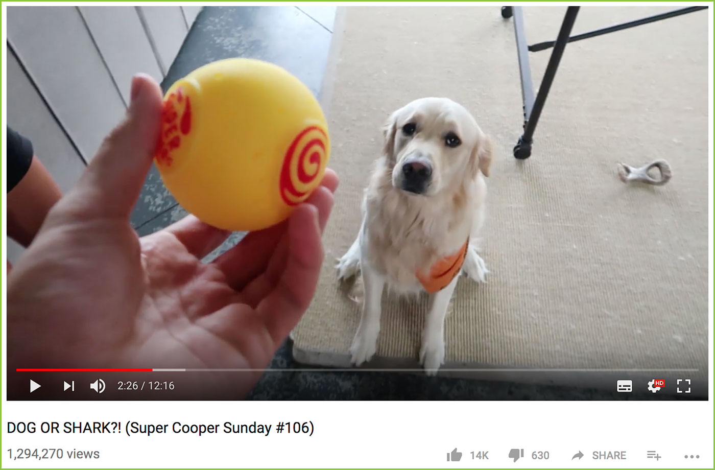 YouTube Is Social Media Too Treefrog Inc YouTube Is Social Media Too Treefrog Inc